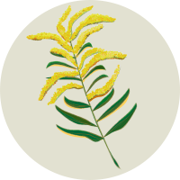 About – Laura Daley